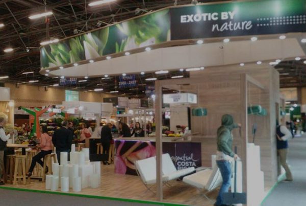 Diseño y montaje de Stands y Pabellones | City Group